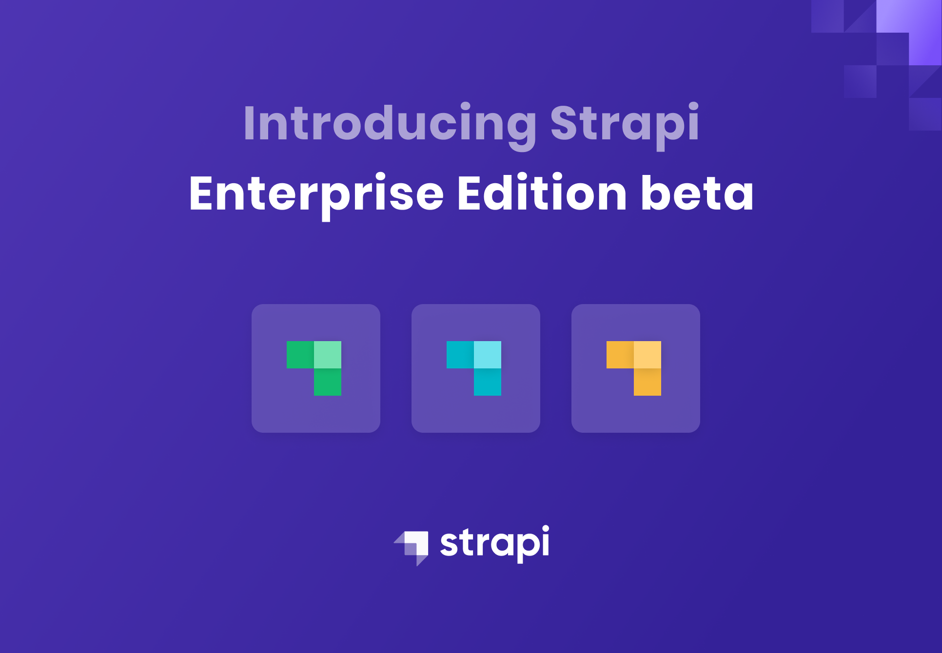 Introducing our Strapi Enterprise Edition (beta) and Plans